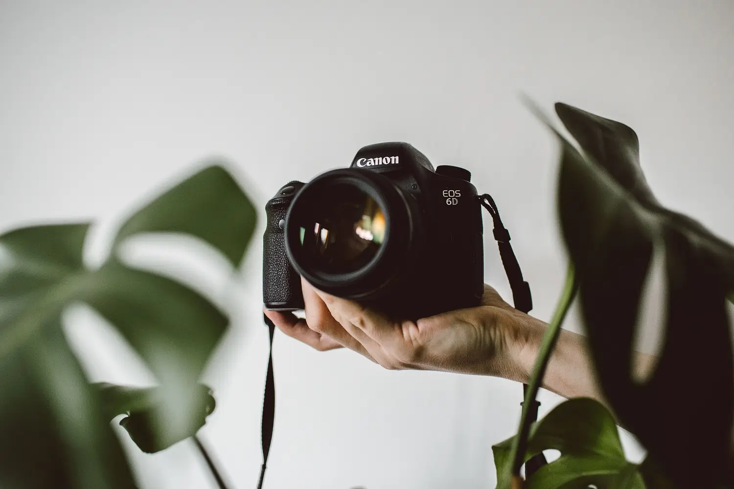Photography Data Recovery - Data Recovery New York